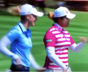 The Backstop Stops Here | moegolf